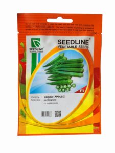 เมล็ดพันธุ์ กระเจี๊ยบเขียวลูกผสม Apollo ตรา seedline
