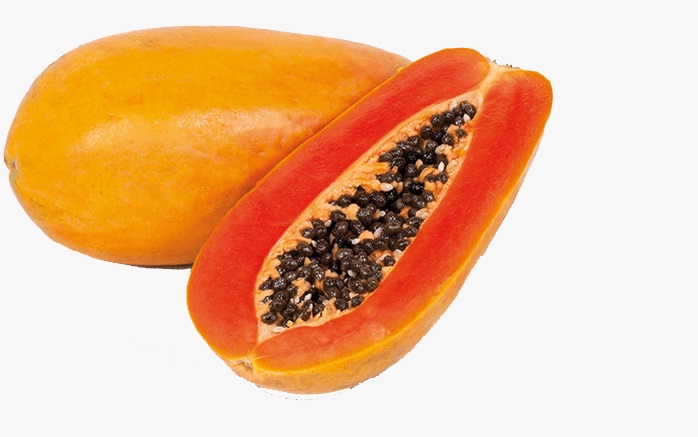 ลักษณะของ มะละกอฮอลแลนด์ และสิ่งที่ควรรู้ก่อนปลูก